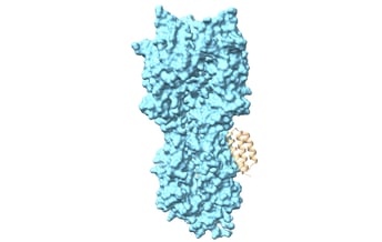 Protein Representation Learning with Geometric Pretraining